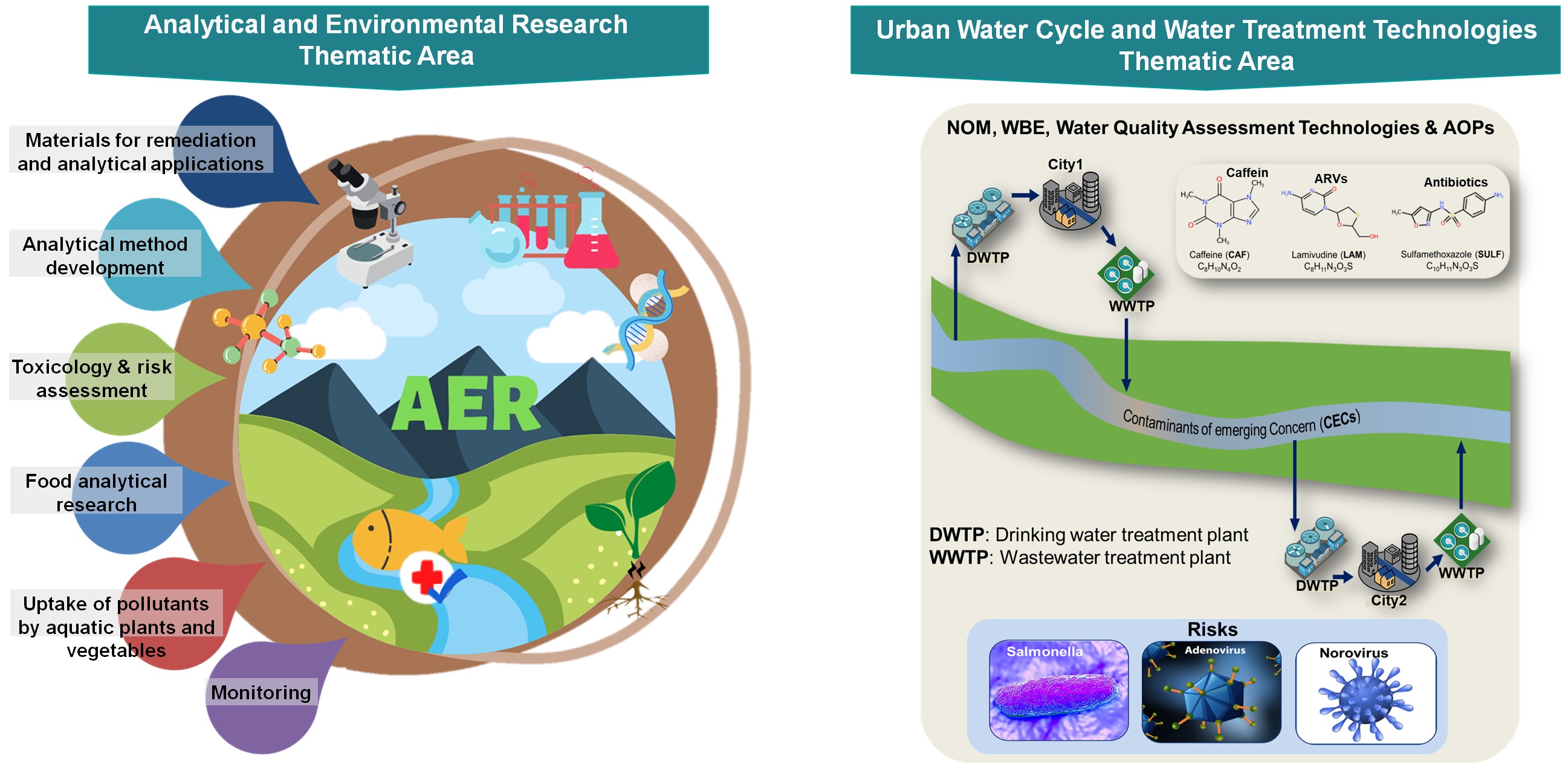Research Focus Areas